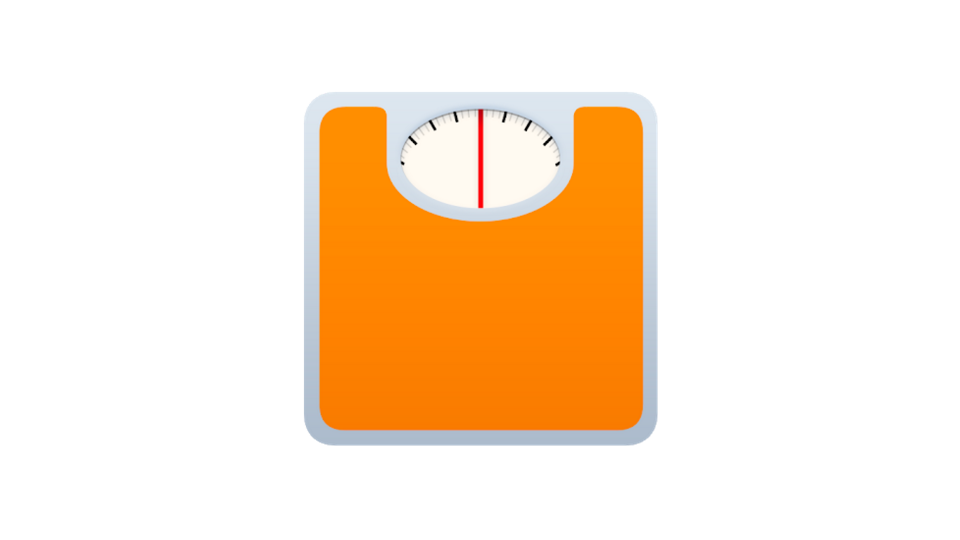 Lose It App Logo