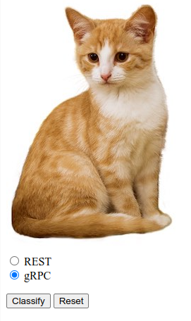 Create a simple website that classifies images | Google for Developers