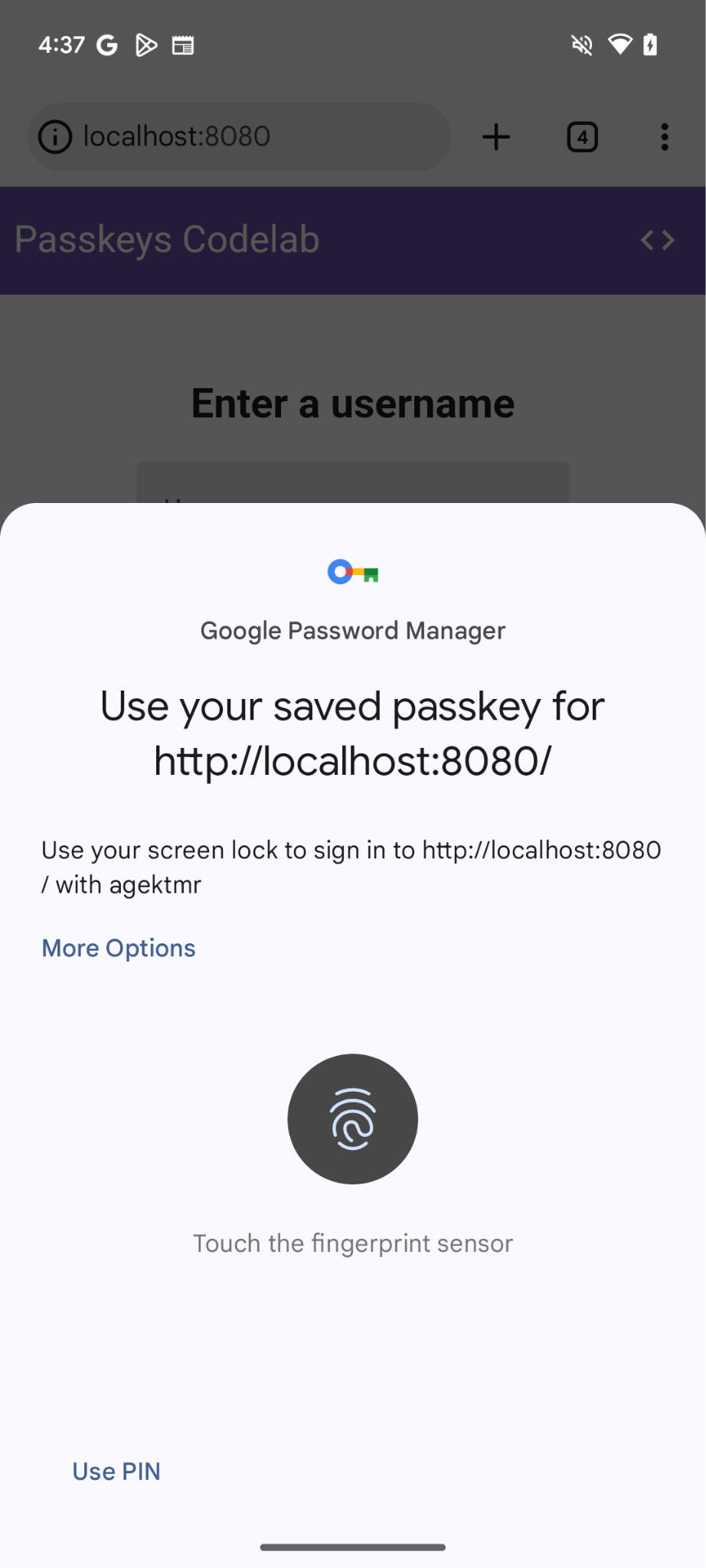 Implement passkeys with form autofill in a web app | Google for Developers