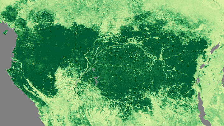 Dataset Categories in Earth Engine | Earth Engine Data Catalog | Google ...
