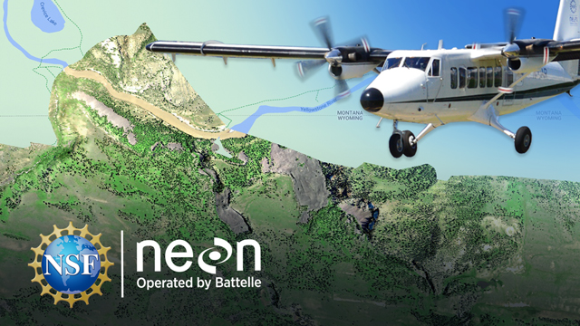 Publisher Data Catalogs | Earth Engine Data Catalog | Google for Developers