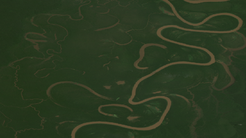 Publisher Data Catalogs | Earth Engine Data Catalog | Google for Developers