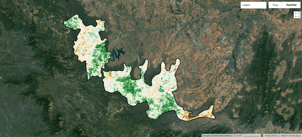 Monitoring Forest Vegetation Condition | Google Earth Engine | Google ...