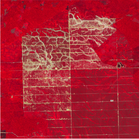 Pseudo-Invariant Feature Matching | Google Earth Engine | Google for Developers