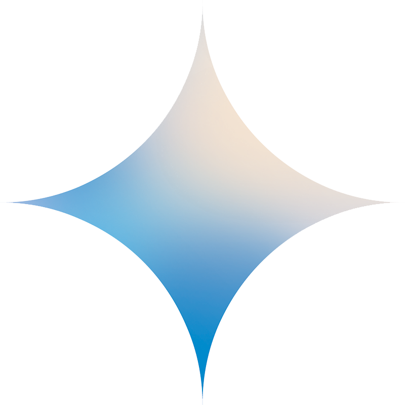 Leveraging the Gemini Pro Vision model for image understanding ...